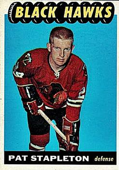 Pat Stapleton 1965 Topps #120 Base Price Guide - Sports Card Investor