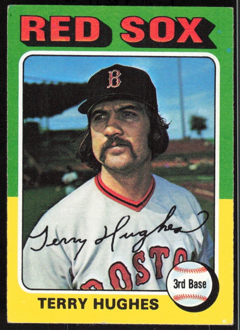 Terry Hughes Baseball Cards Price Guide - Sports Card Investor