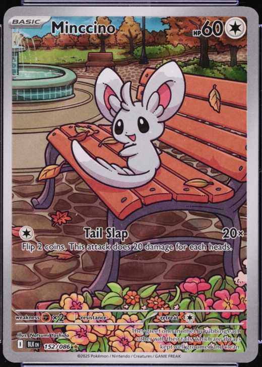 Minccino 2025 Scarlet & Violet: Black Bolt #152/086 Illustration Rare ...