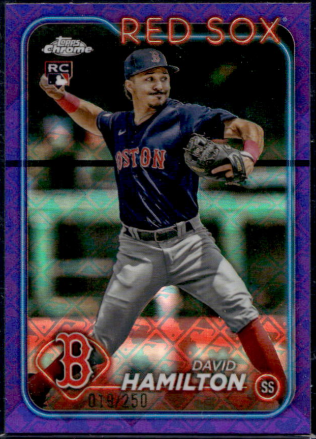 David Hamilton 2024 Topps Chrome Logofractor Edition #49 Purple /250 ...