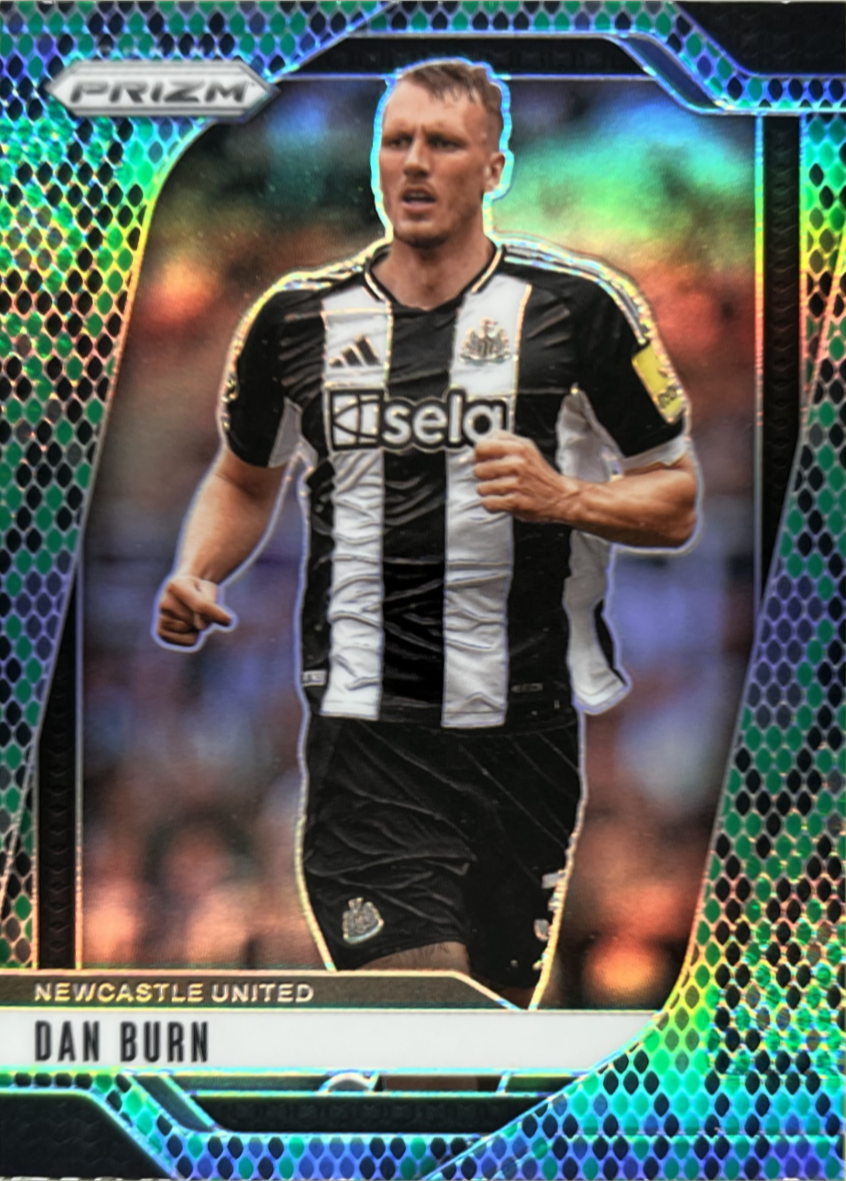 Dan Burn 2024 Prizm Premier League #109 Snakeskin Price Guide - Sports ...