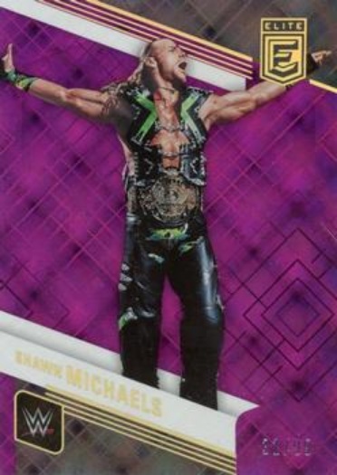 Shawn Michaels 2023 Elite WWE #141 Purple /99 Price Guide - Sports Card ...