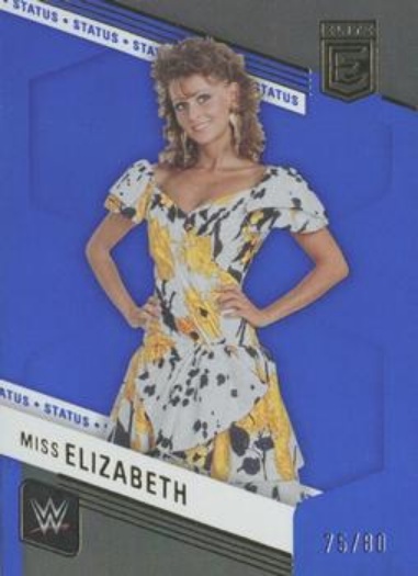 Miss Elizabeth 2023 Elite WWE #116 Status /80 Price Guide - Sports Card ...