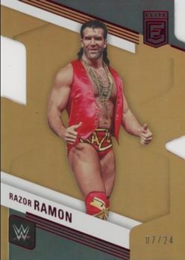 Razor Ramon 2023 Elite WWE #140 Aspirations Die-Cut /24 Price Guide ...