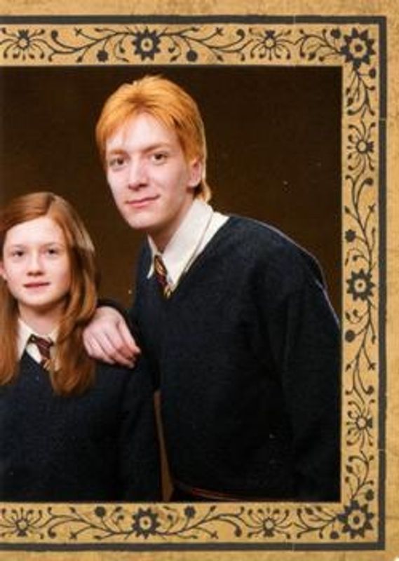 The Weasleys 2021 Harry Potter Evolution #234 Base Price Guide - Sports ...