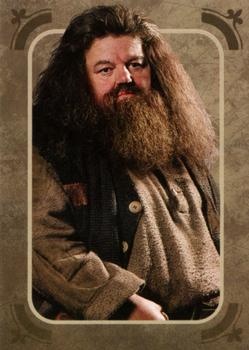 Rubeus Hagrid 2021 Harry Potter Evolution #98 Base Price Guide - Sports ...