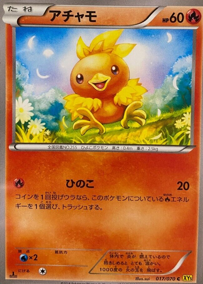 Torchic Pokemon Cards Price Guide - Sports Card Investor