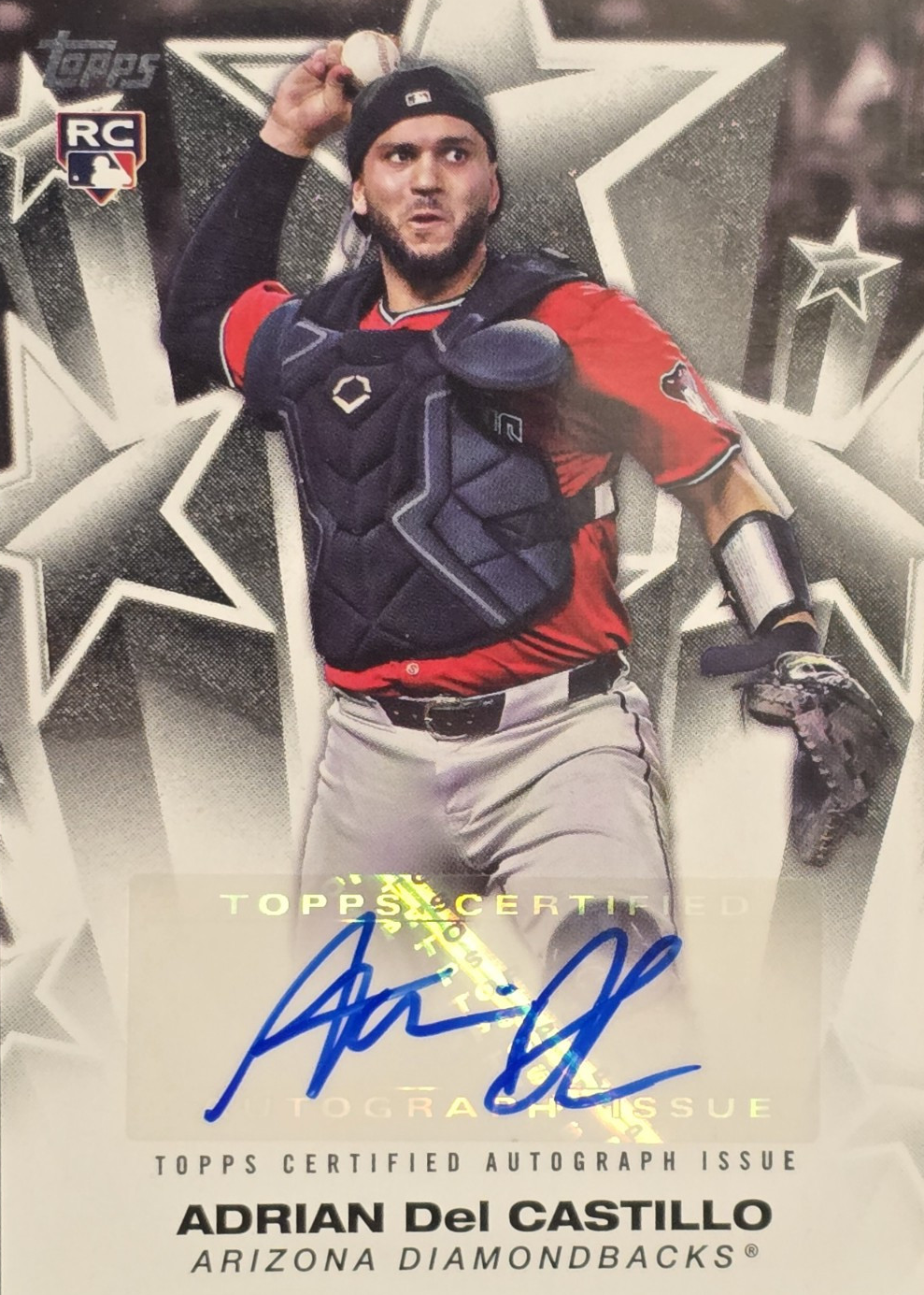Adrian Del Castillo 2025 Topps #BSA-AD Baseball Stars Autographs Price ...
