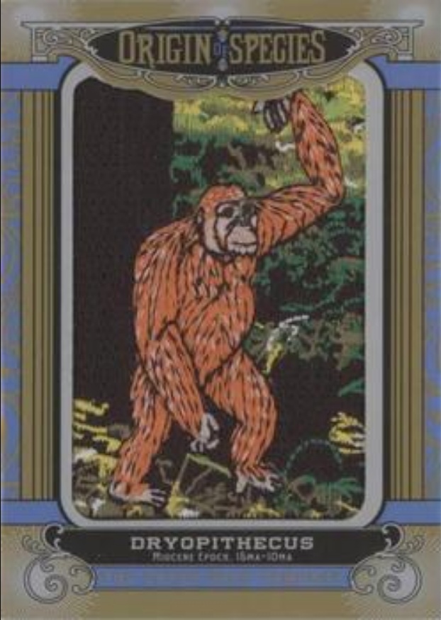 Dryopithecus Multi-Sport Cards Price Guide - Sports Card Investor